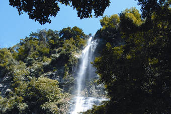 Trinidad Maracas Falls